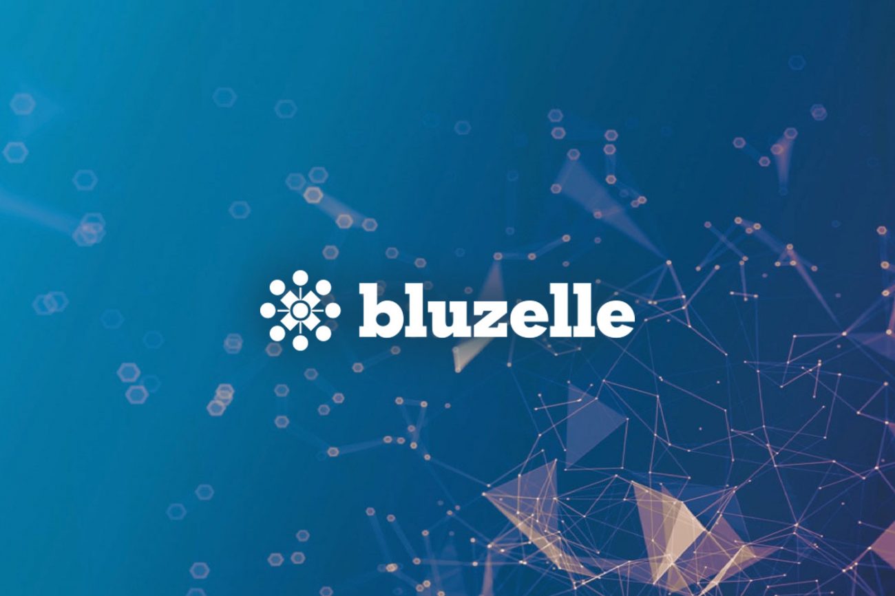 Beginner’s Guide & How to Buy Bluzelle (BLZ) Information & Review