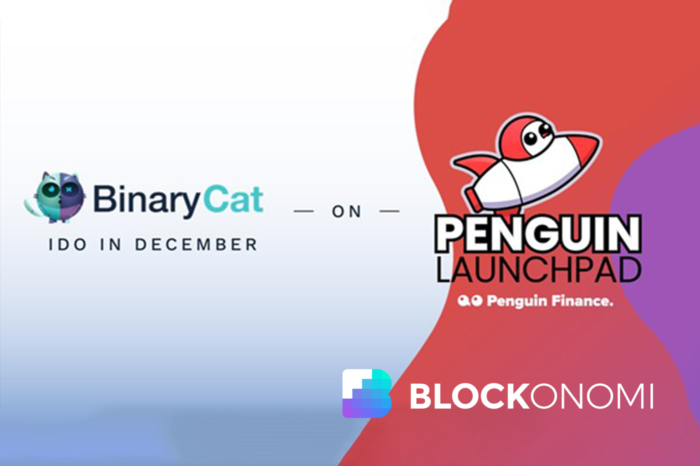 The Binary Cat IDO Is On the December Calendar!