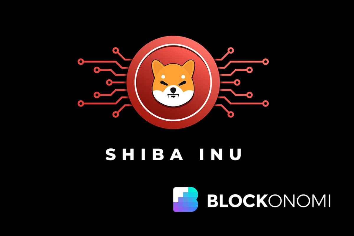 Shiba Inu Price Jumps 13% as Technical Analysis Points to 246% Rally ...