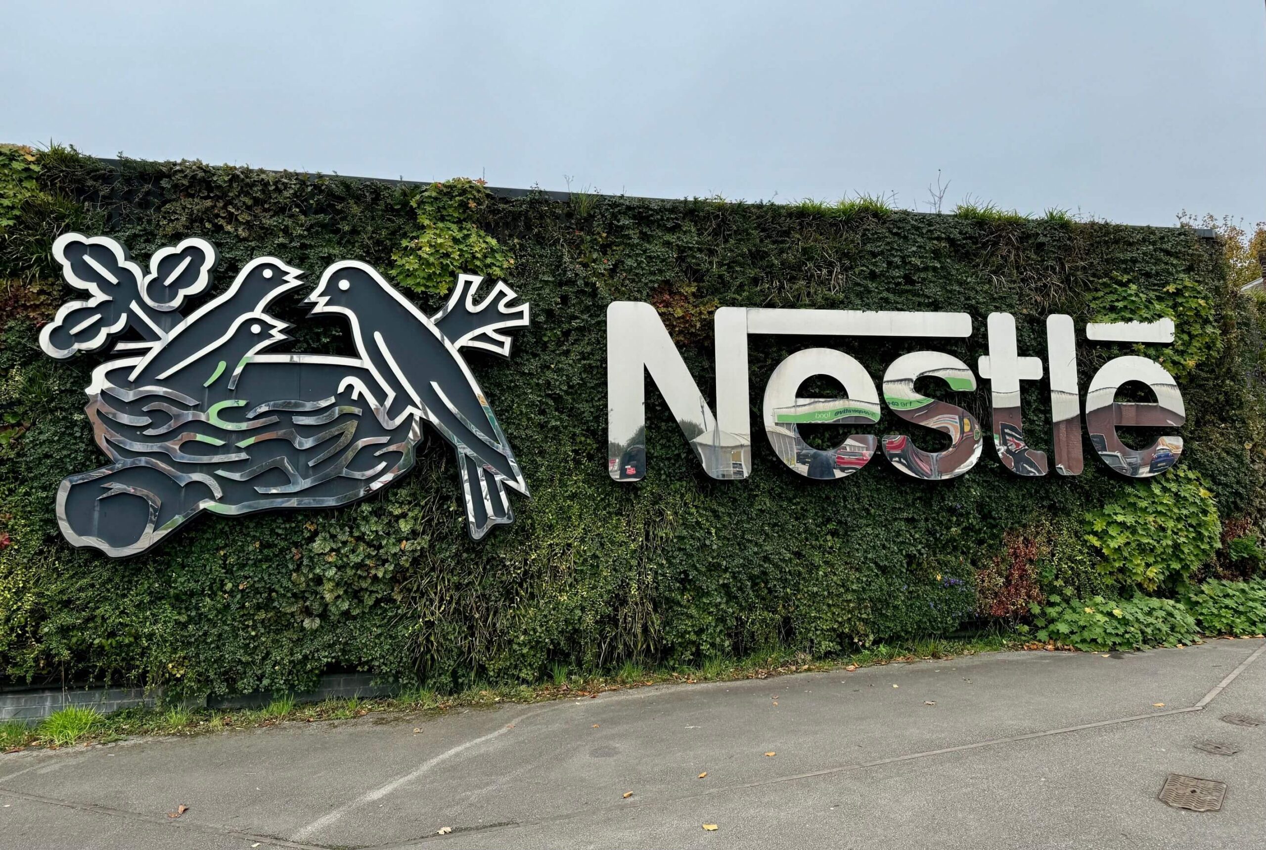 Nestlé (NSRGY) Stock: New CEO Announces 16,000 Job Cuts Despite Sales ...