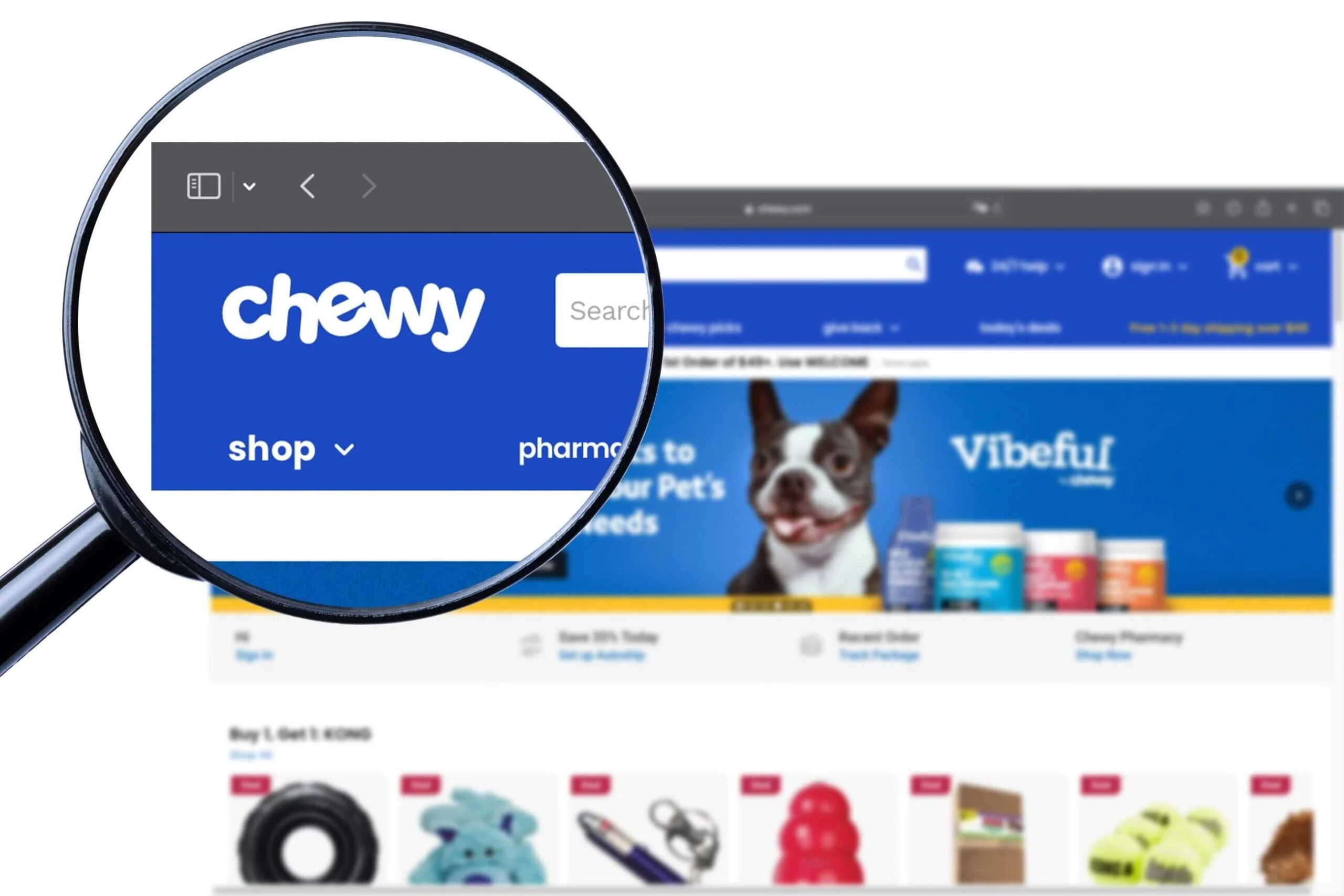 Chewy (CHWY) Stock Soars 11% on Blowout Q4 Results and Strong 2026 ...